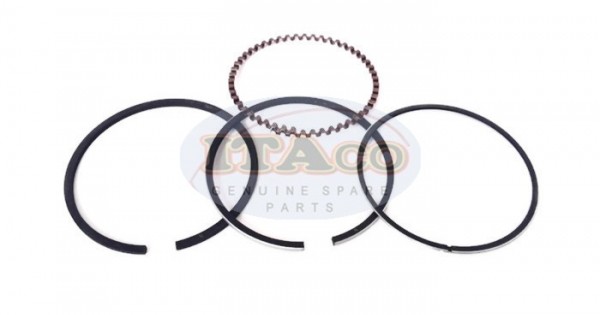 Honda Robin Ring Set 226-23511-07 281-23521-H7